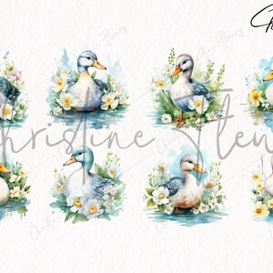 Spring Ducks Clipart, Spring PNG, Animal PNG, Nursery Duck PNG Instant ...