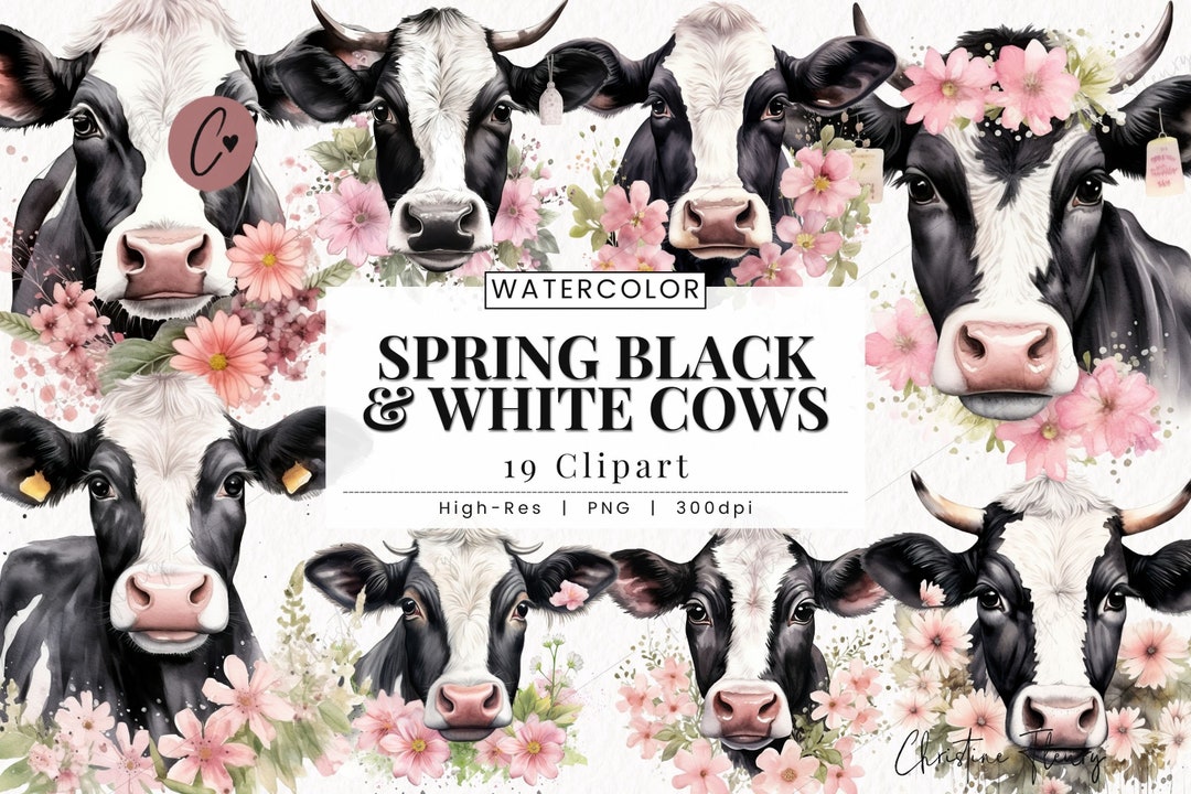 Watercolor Spring Black & White Cow Clipart, Cow PNG, Spring PNG ...