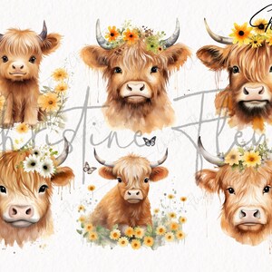 Spring Highland Cow Clipart, Highland Cow PNG, Spring PNG, Flower Cow ...
