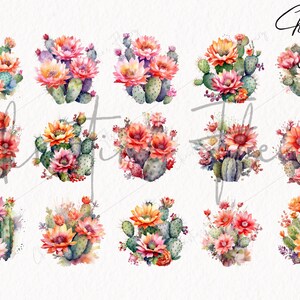 Watercolor Cactus Flower Clipart, Watercolor Flower Clipart, Watercolor ...