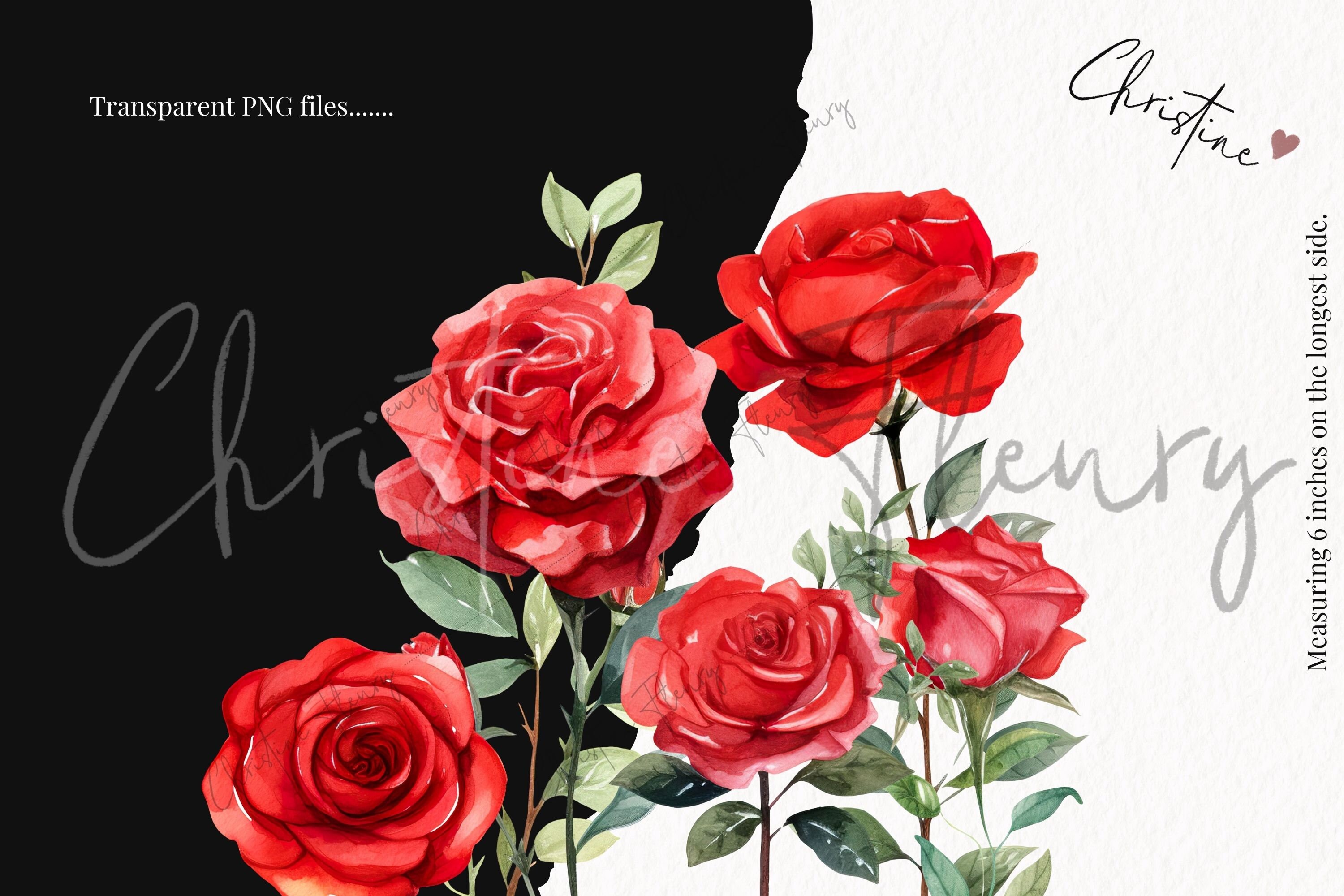Watercolor Red Roses Clipart, Watercolor Flower Clipart, Wedding PNG ...