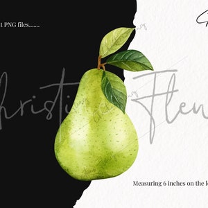 Watercolor Pears Clipart, Fruit PNG, Summer PNG, Pear PNG Instant ...