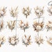 Watercolor Boho Neutral Floral Clipart, Watercolor Flower Clipart ...
