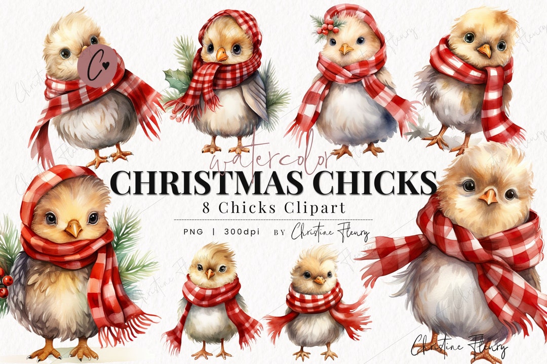 Watercolor Christmas Chick Clipart, Watercolor Animal Clipart ...