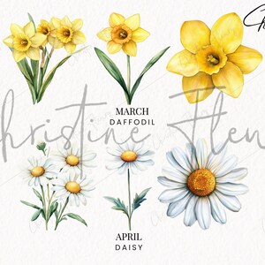 Birth Month Flower Clipart Bundle, Birthday PNG, Watercolor Wedding Era ...