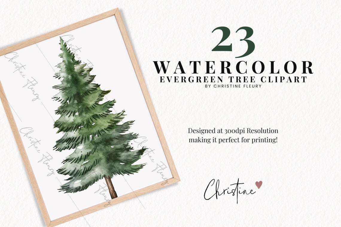 Watercolor Evergreen Clipart Watercolor Tree Clipart - Etsy