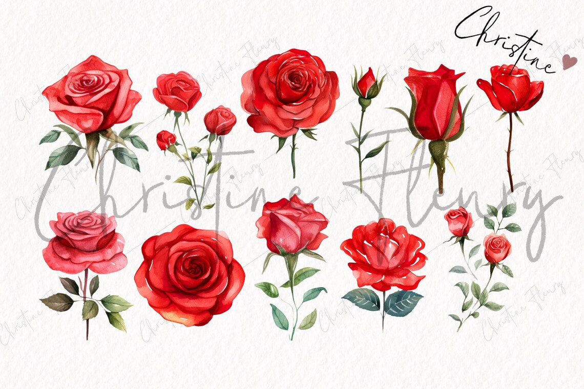 Watercolor Red Roses Clipart, Watercolor Flower Clipart, Wedding PNG ...