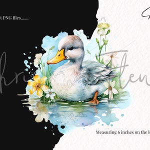 Spring Ducks Clipart, Spring PNG, Animal PNG, Nursery Duck PNG Instant ...