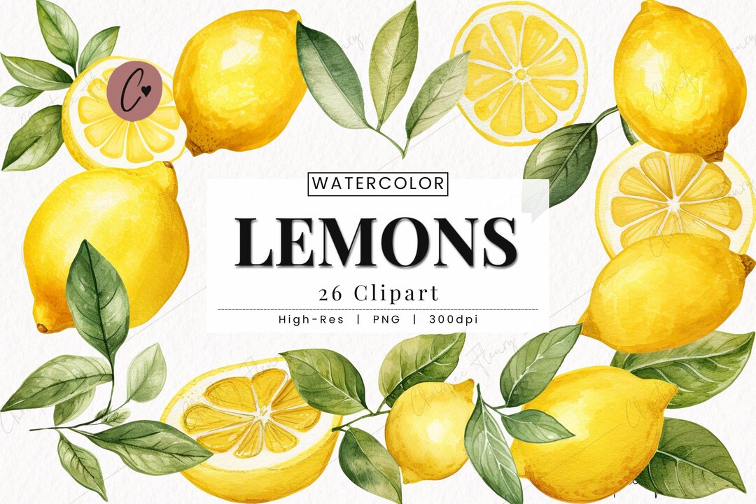 Watercolor Lemons Clipart, Fruit PNG, Summer PNG, Lemon PNG Instant ...