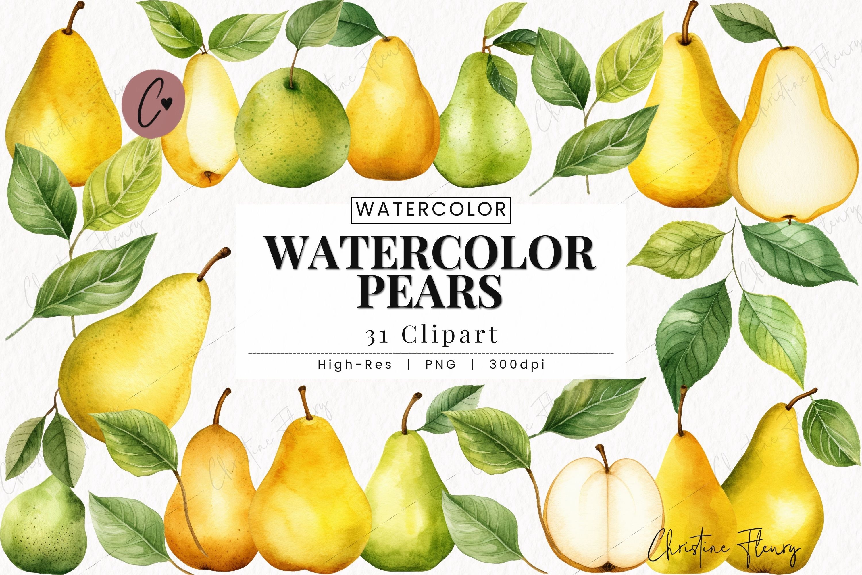 Watercolor Pears Clipart, Fruit PNG, Summer PNG, Pear PNG Instant ...