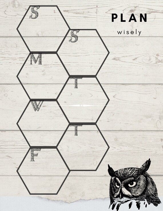 Plan Wisely Owl Planner - Etsy