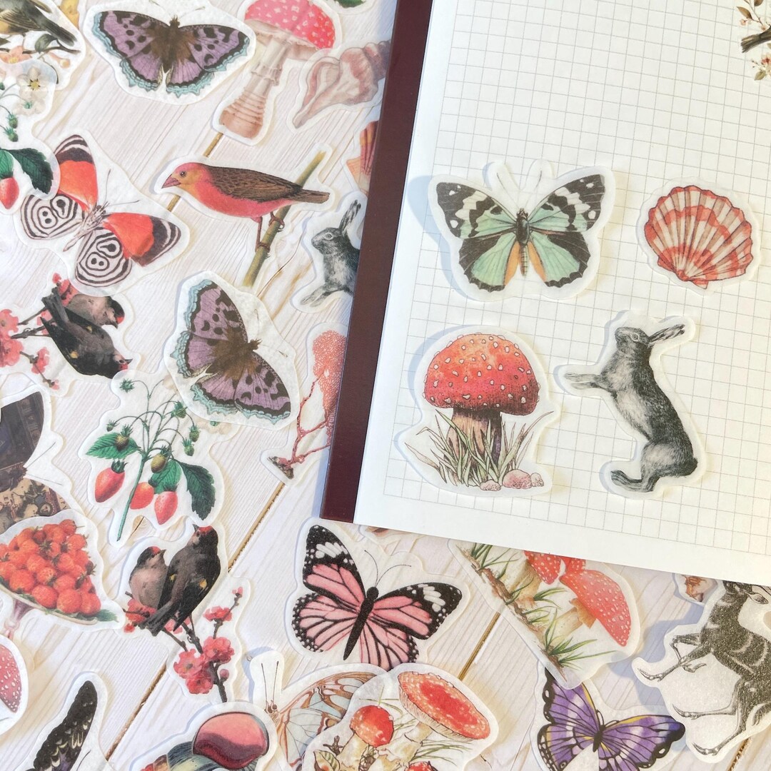 30 Pcs Sticker Pack, Cottagecore Stickers, Botanical Ephemera, Washi ...