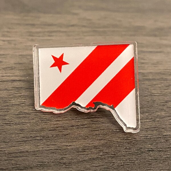 Washington Dc Pin - Etsy