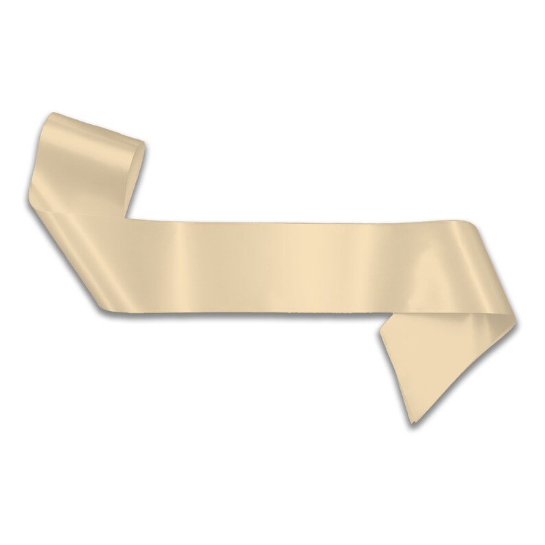 Personalised Prom Sashes - Add Any Wording! - Prom King / Queen ...