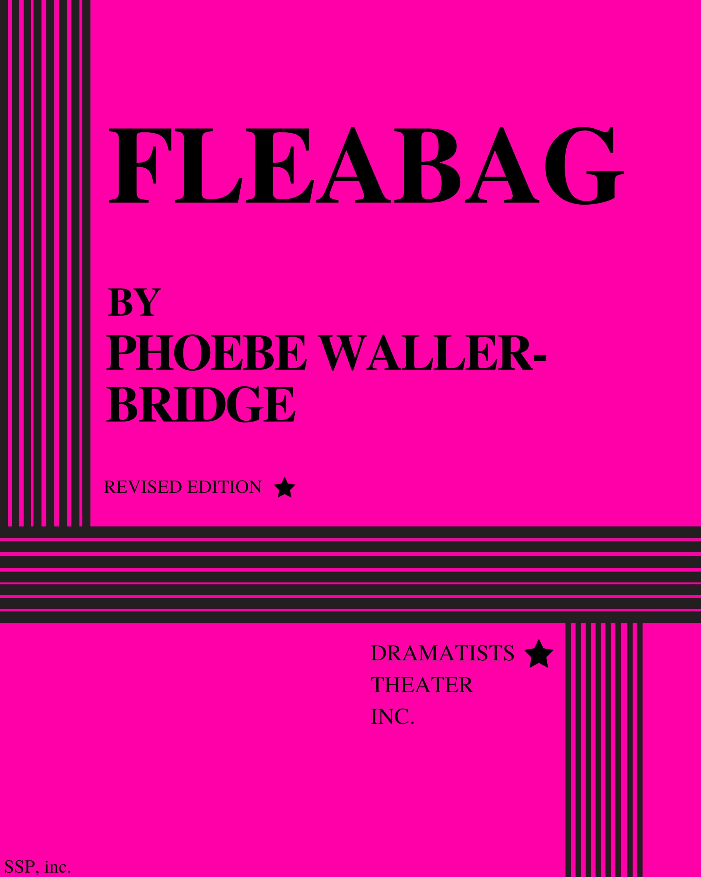 Fleabag Phoebe Waller-bridge Play Poster | Theatrical Play Poster ...