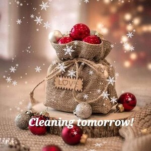 Professional Cleaner Reminder for Appointments and Cleanings - Etsy