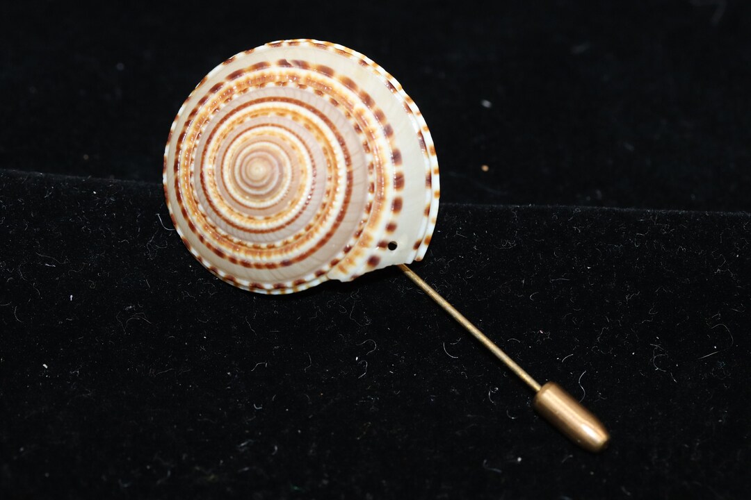 Vintage Signed Miriam Haskell Striped Shell Stick Hat Pin - Etsy