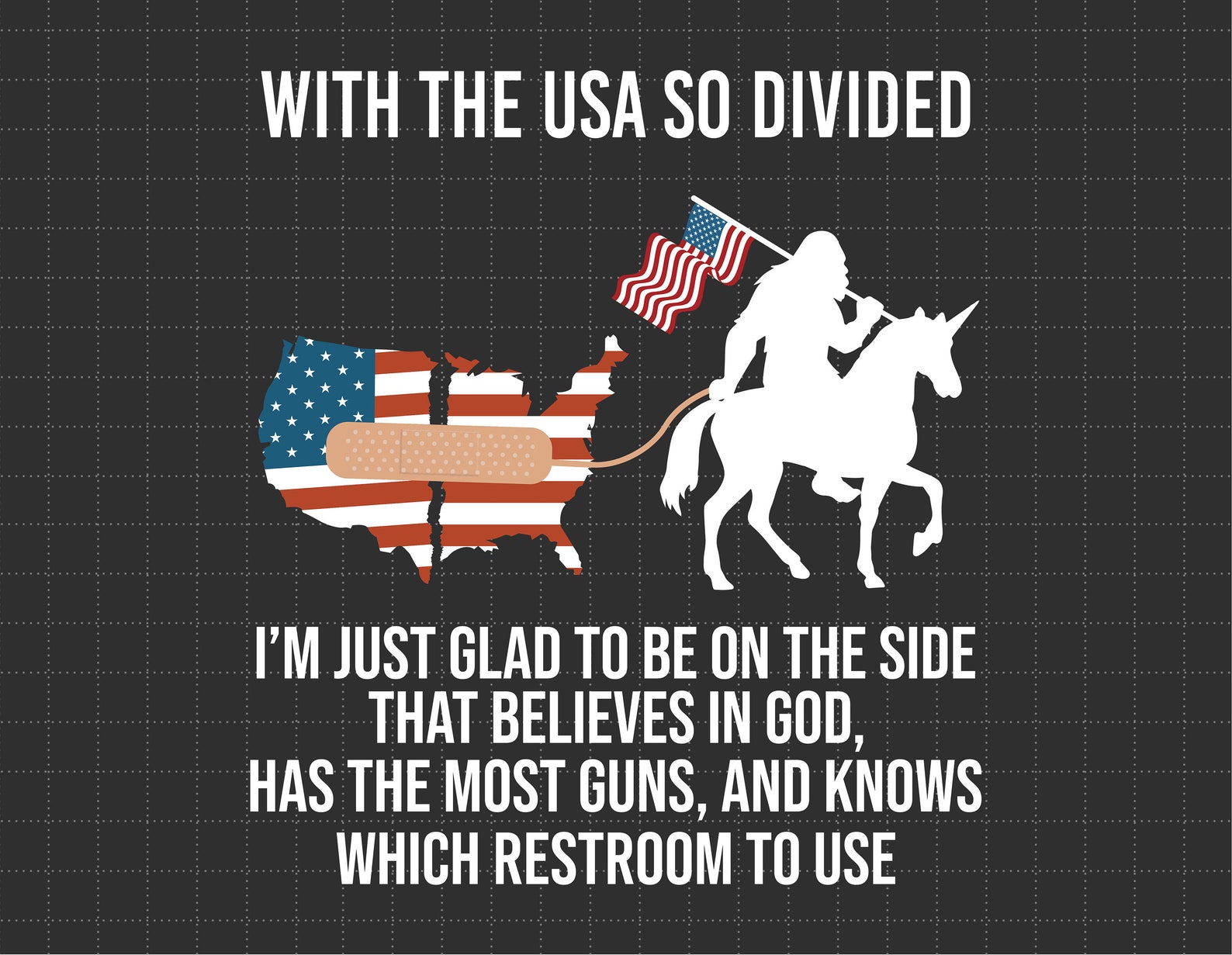 With the USA so Divided Im Just Glad to Be on the Side That - Etsy
