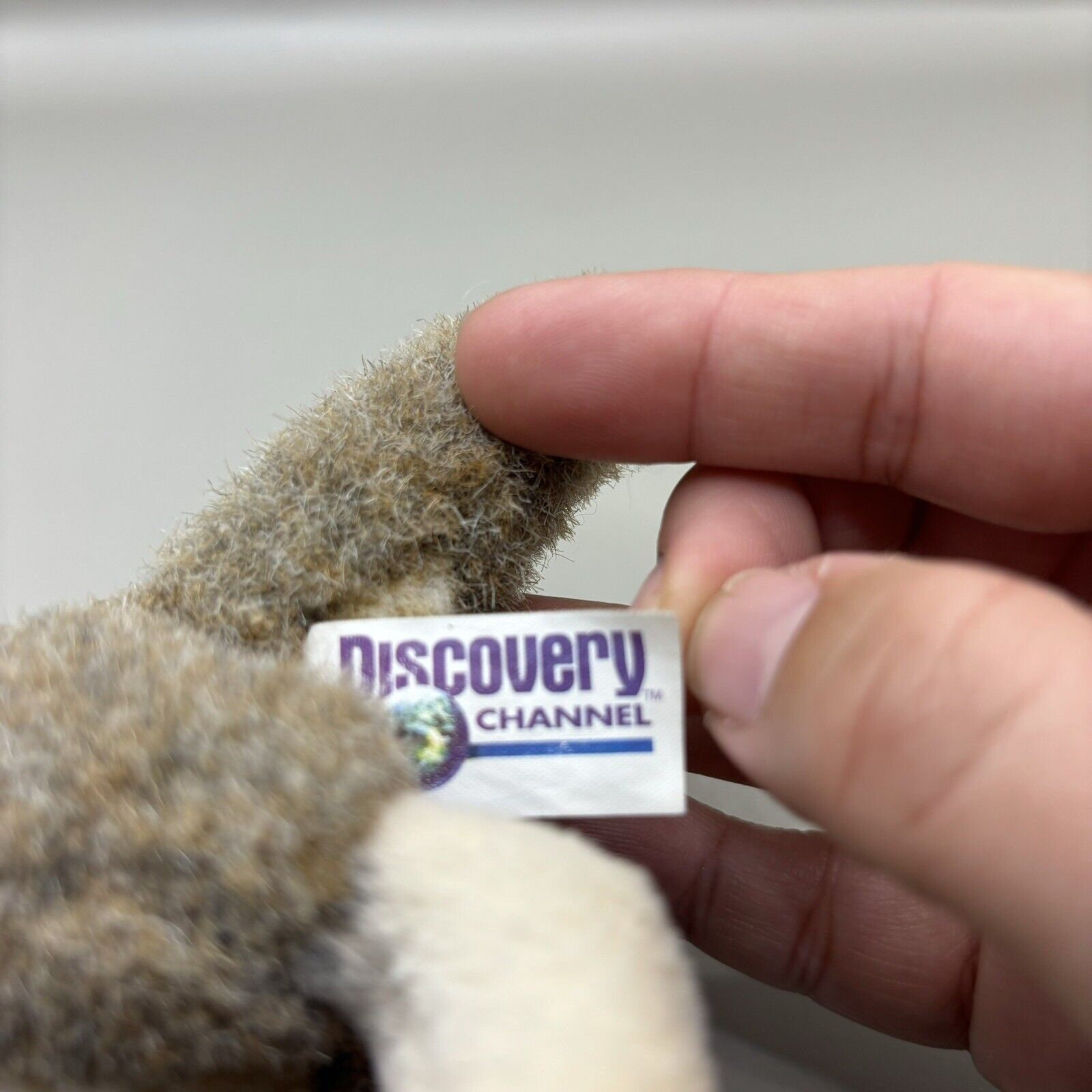 Vintage Discovery Channel Kangaroo Baby Joey 5 Realistic Plush Stuffed ...