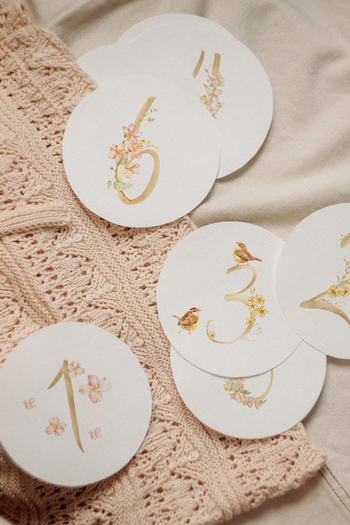 Floral Watercolor Numbers Clipart: Spring Blossom, Birds (PNG Digital ...