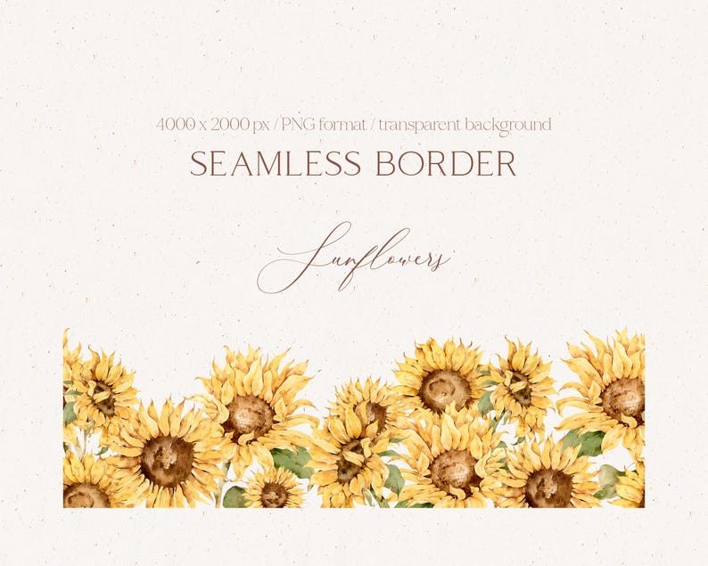 Watercolor Sunflower Border: Floral Frame Clipart (PNG Digital Design ...