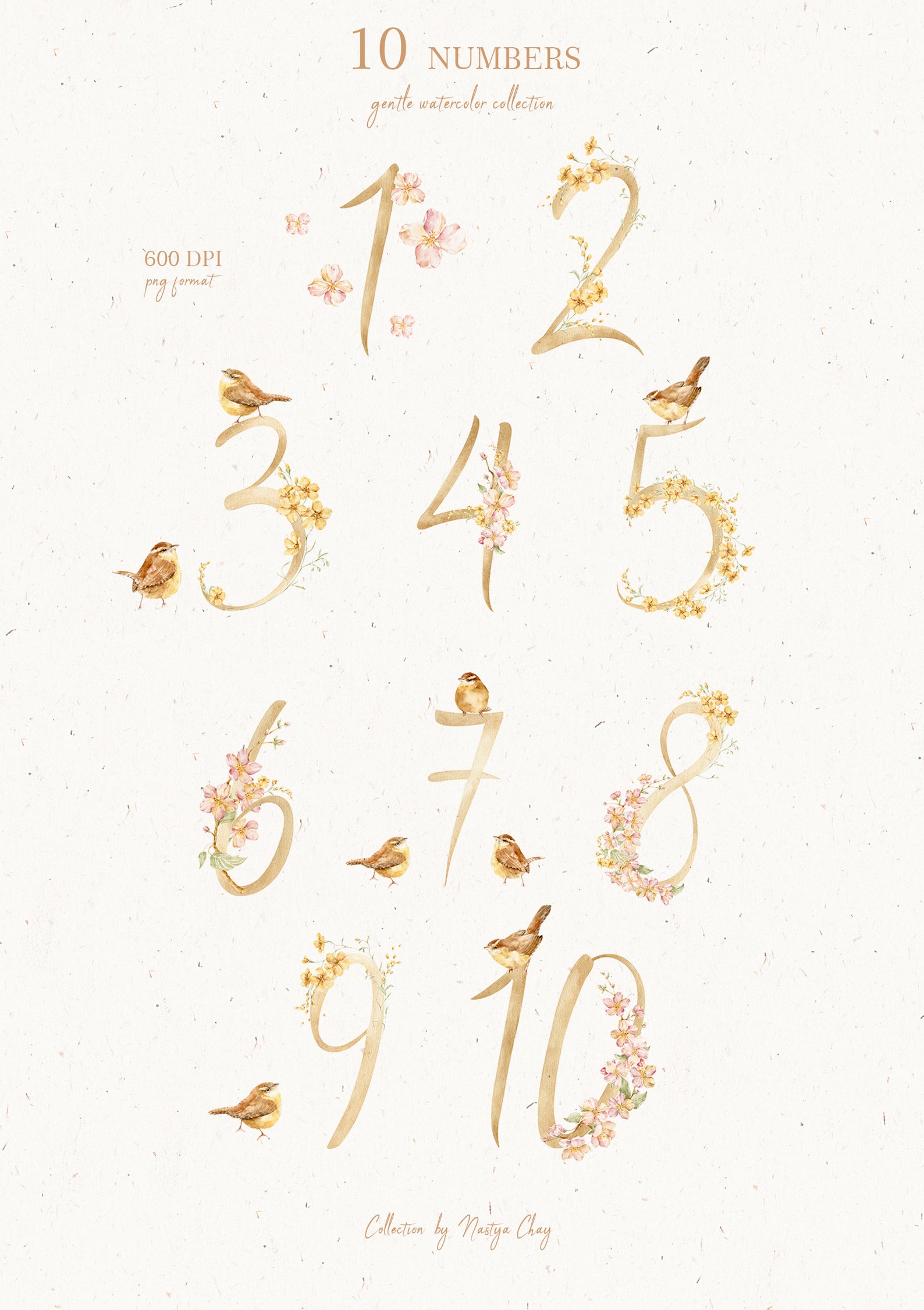 Floral Watercolor Numbers Clipart: Spring Blossom, Birds (PNG Digital ...