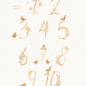 Floral Watercolor Numbers Clipart: Spring Blossom, Birds (PNG Digital ...