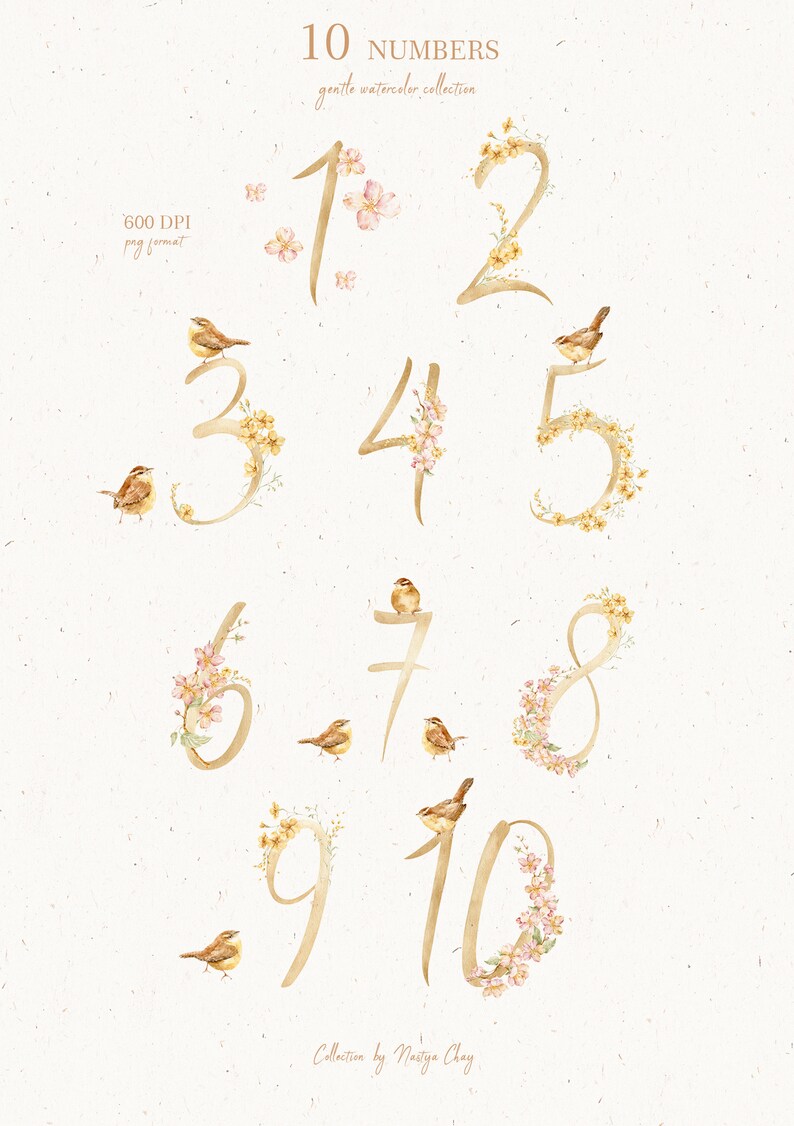 Floral Watercolor Numbers Clipart: Spring Blossom, Birds (PNG Digital ...