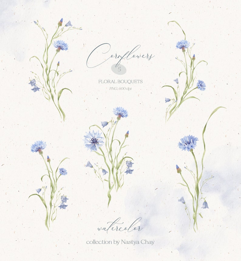 Watercolor Cornflowers Clipart, Flowers Clipart, Floral Bouquet, Blue ...