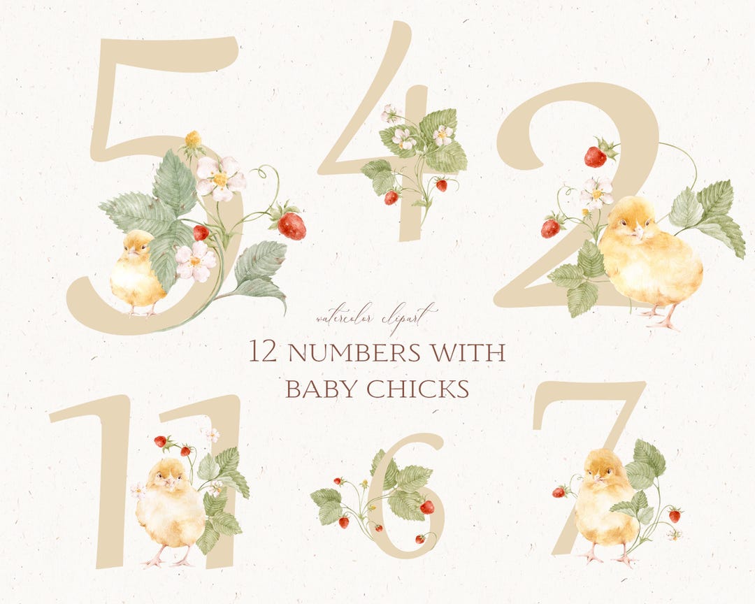 Watercolor Numbers With Cute Chicks, Birthday Numbers PNG, Strawberry ...