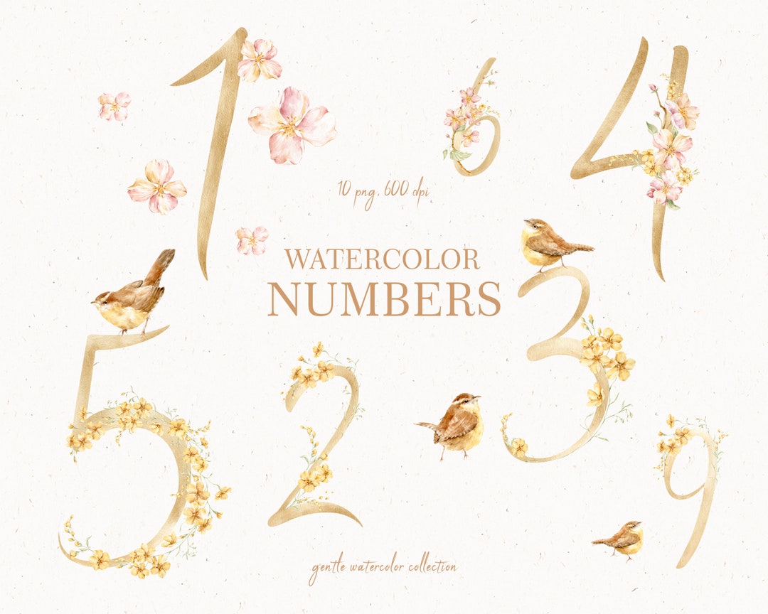 Watercolor Floral Numbers With Birds, Watercolor Numbers Clipart ...