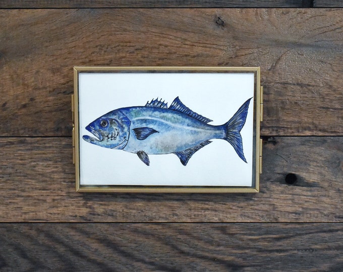 Bluefish Fish Print, Vintage Fishing Poster Wall Art Decor, Tailor Gift ...
