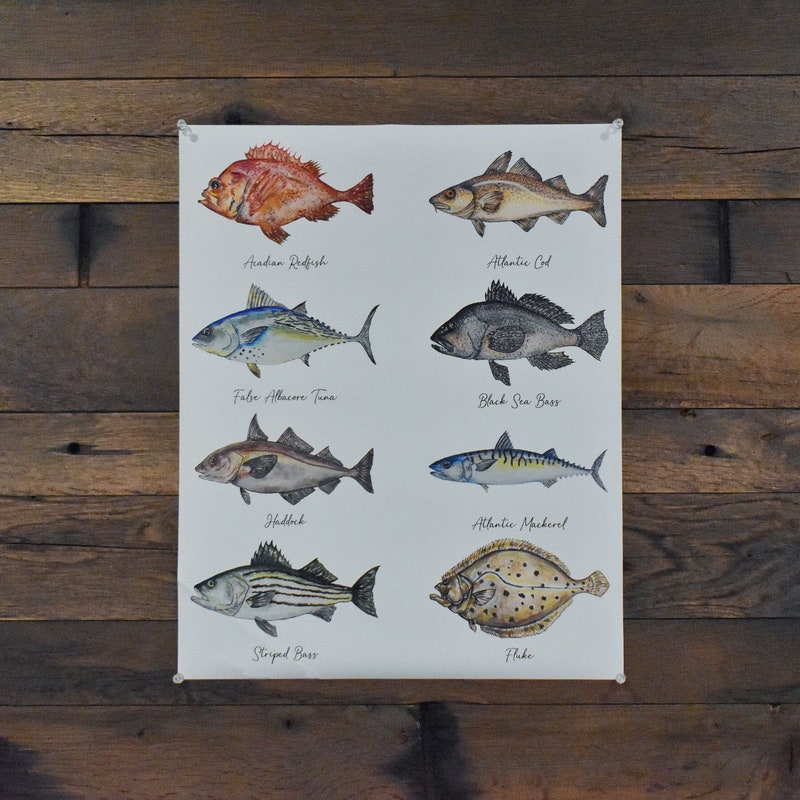 Saltwater Fish Art - Etsy