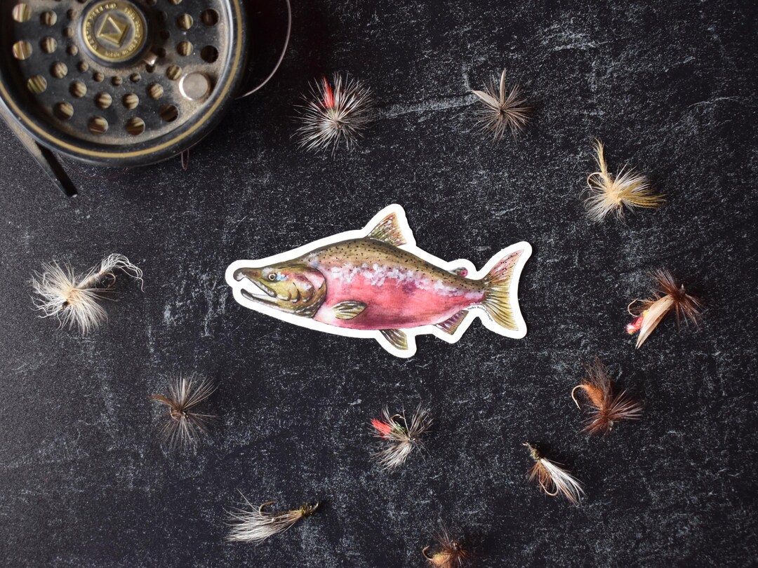 Coho Salmon Fish Watercolor Vinyl Sticker - Etsy