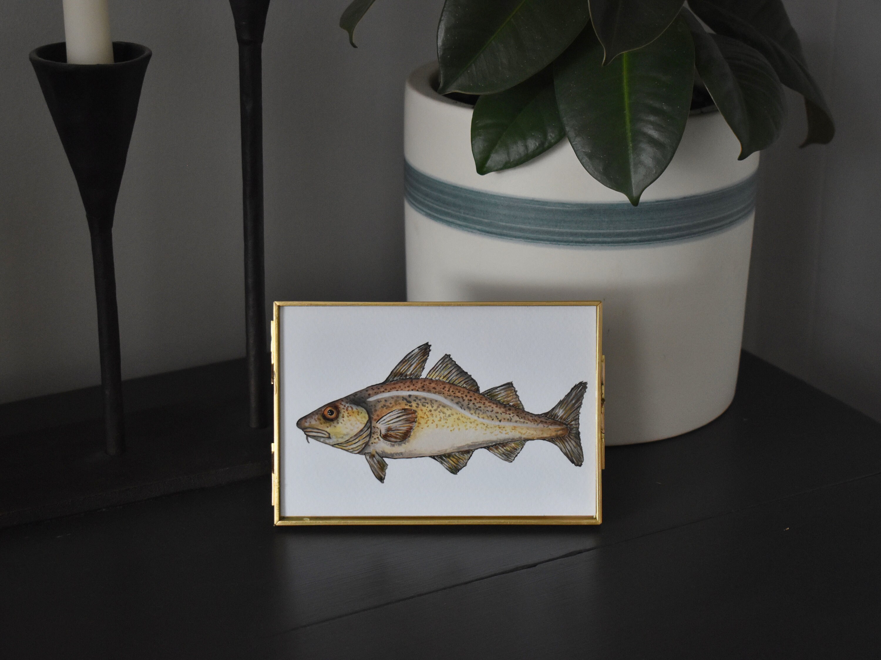 Atlantic Cod Atlantic Fish 4x6 Watercolor Print - Etsy