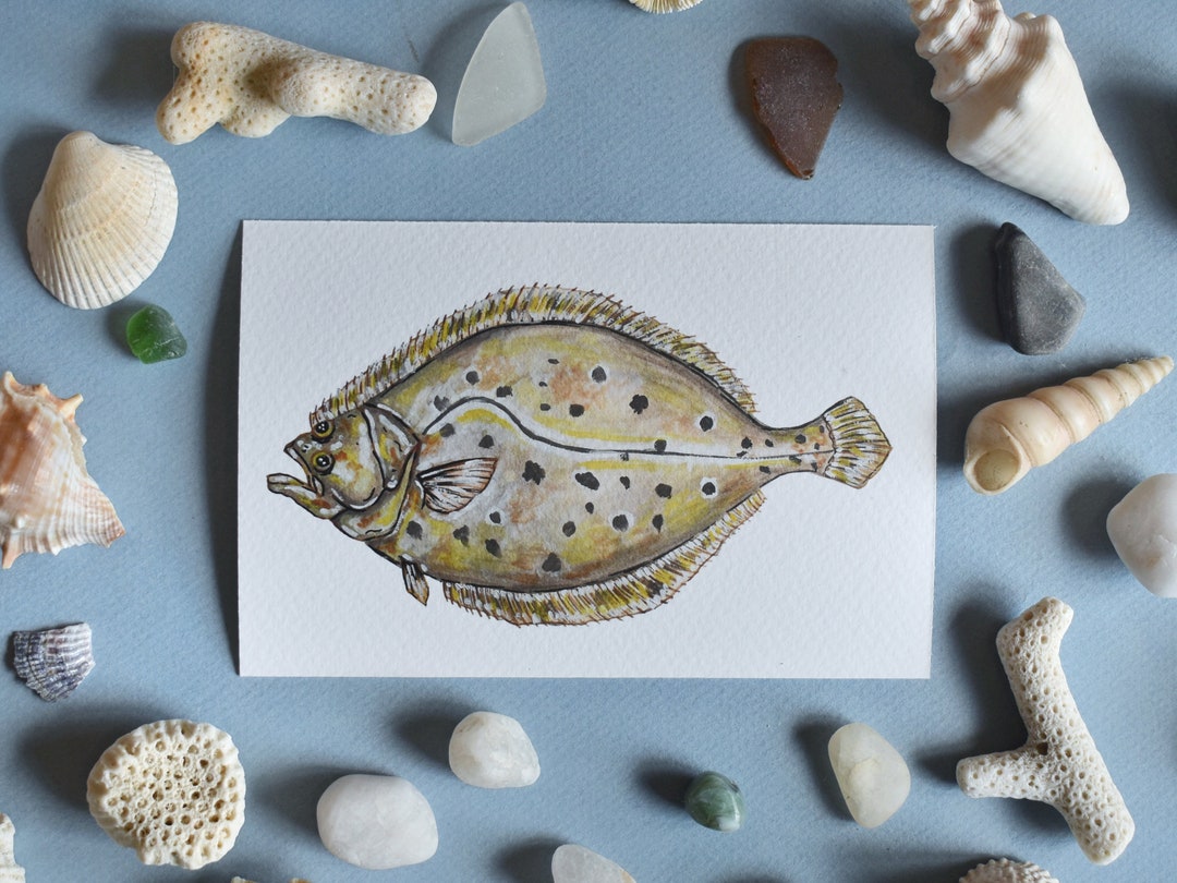 Fluke Atlantic Fish 4x6 Watercolor Print - Etsy