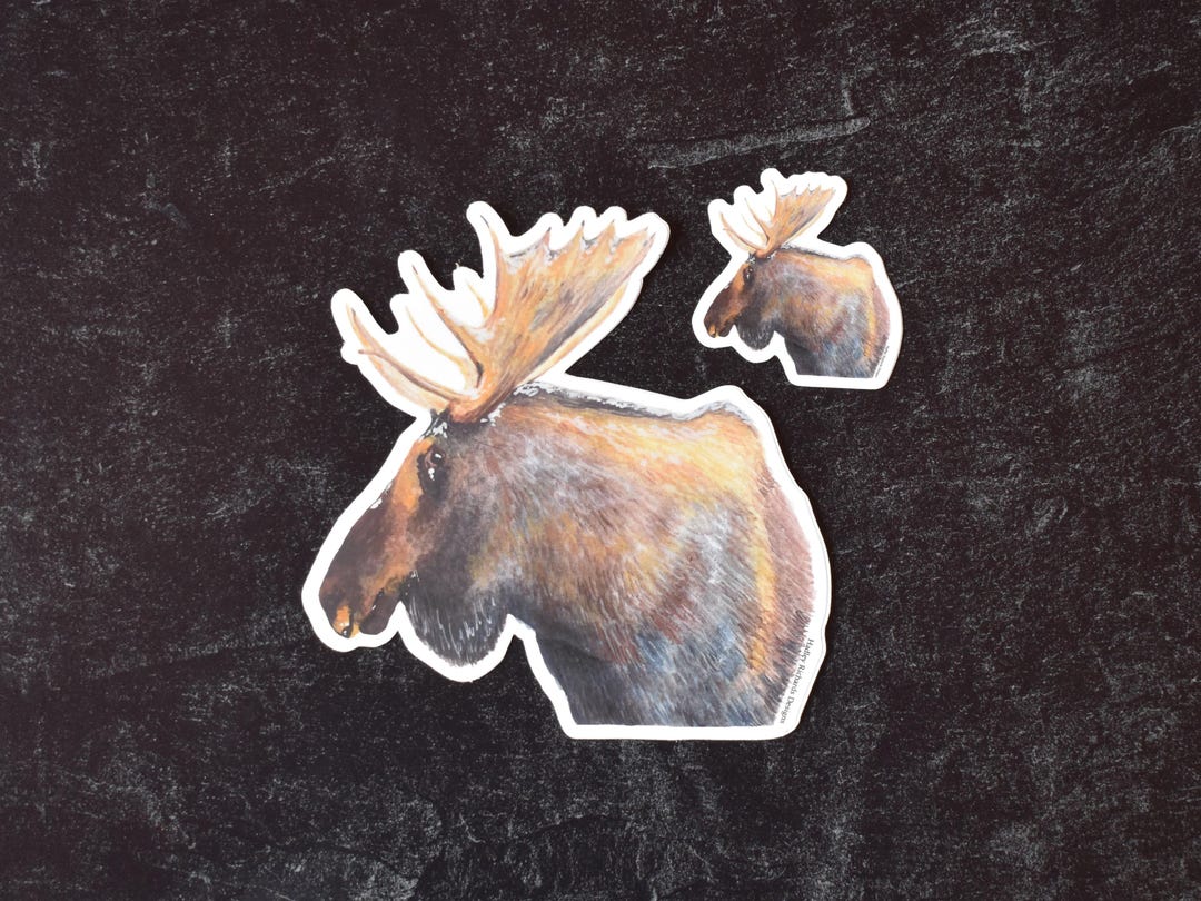 Moose Watercolor Vinyl Stickers - Etsy