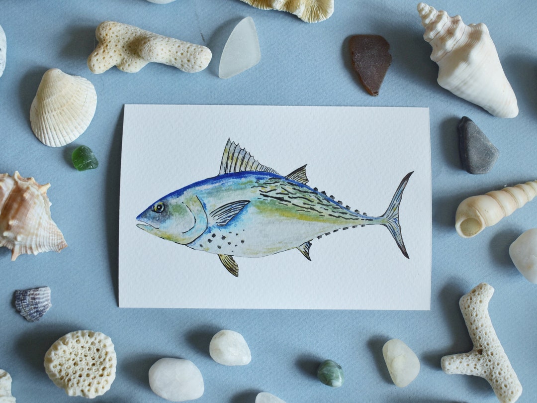 False Albacore Tuna Atlantic Fish 4x6 Watercolor Print - Etsy