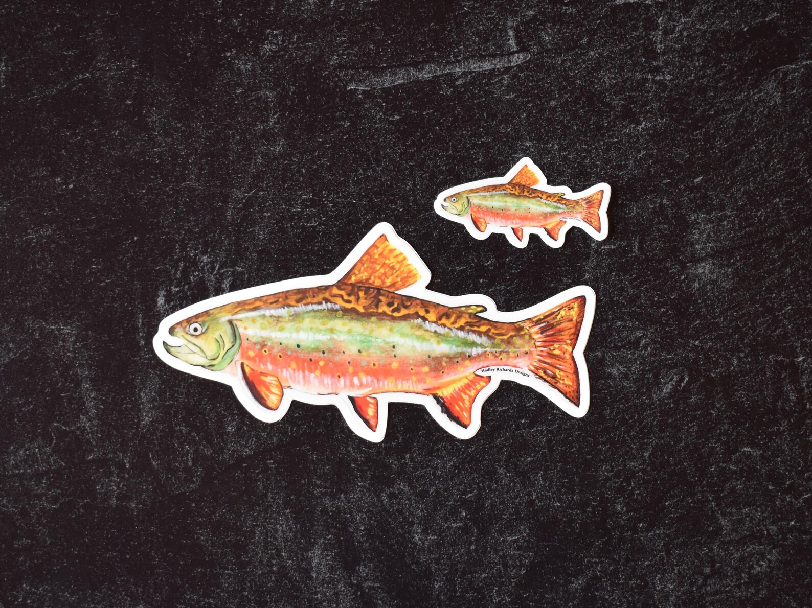 Brook Trout Fish Watercolor Vinyl Stickers - Etsy
