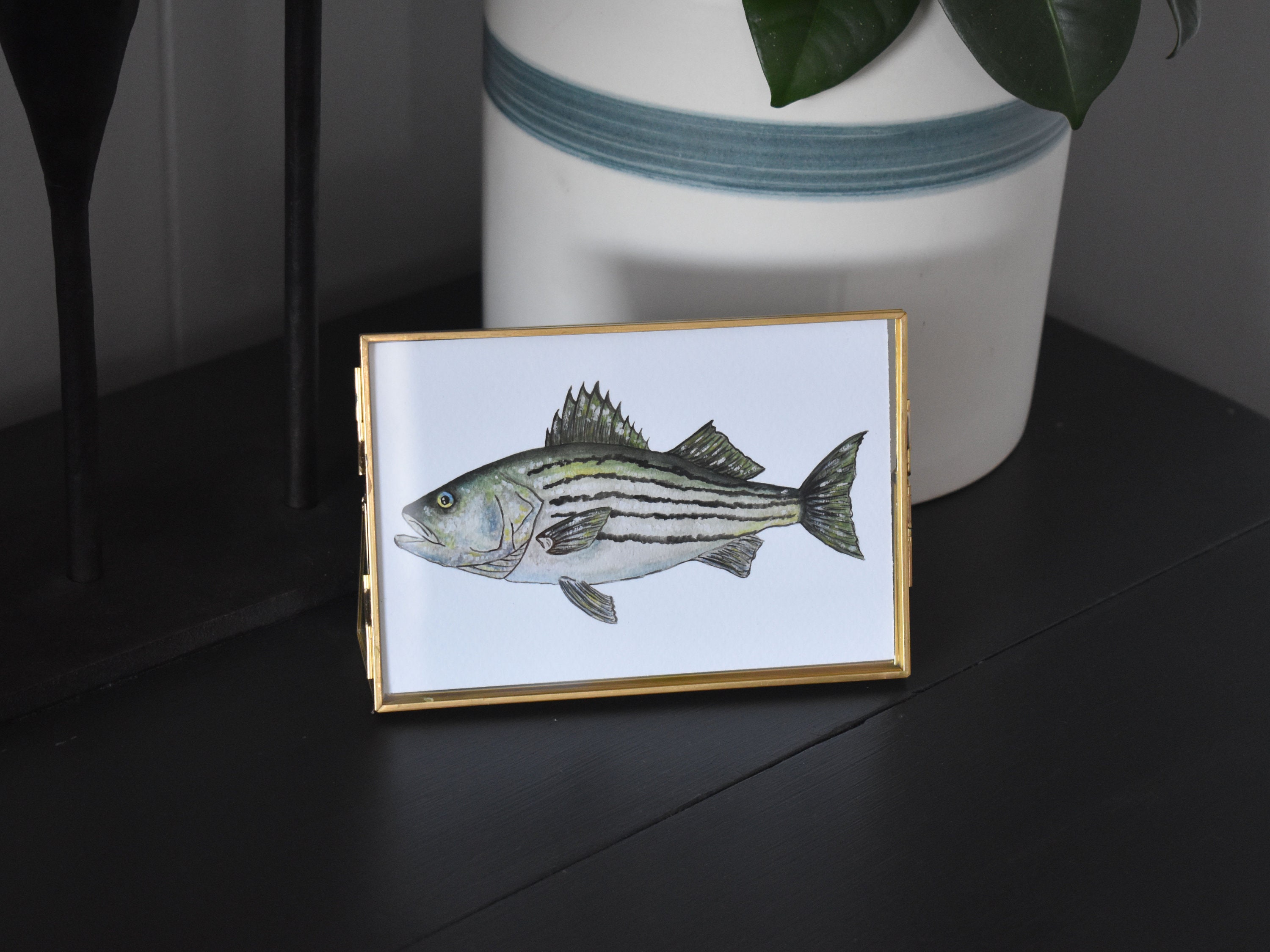 Striped Bass Fish 4x6 Watercolor Print - Etsy