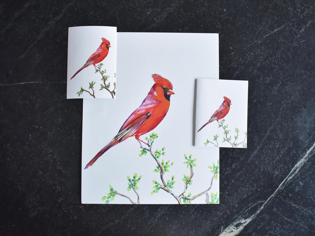 Cardinal Wild Bird Watercolor Prints, 4x6, 8x10, and 11x14 - Etsy