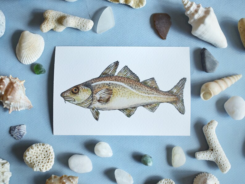 Atlantic Cod Atlantic Fish 4x6 Watercolor Print - Etsy