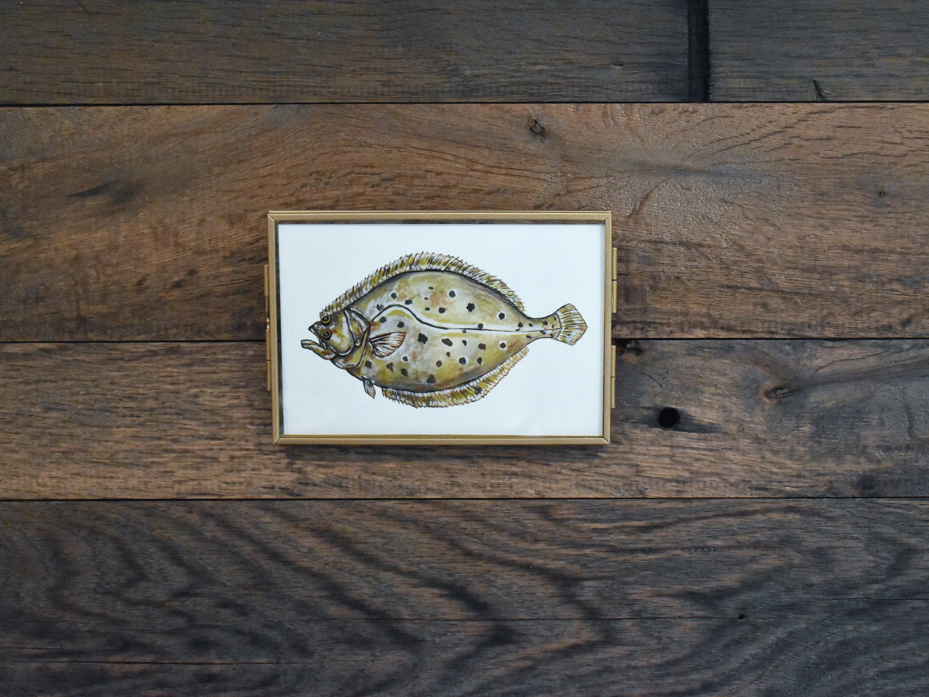 Fluke Atlantic Fish 4x6 Watercolor Print - Etsy