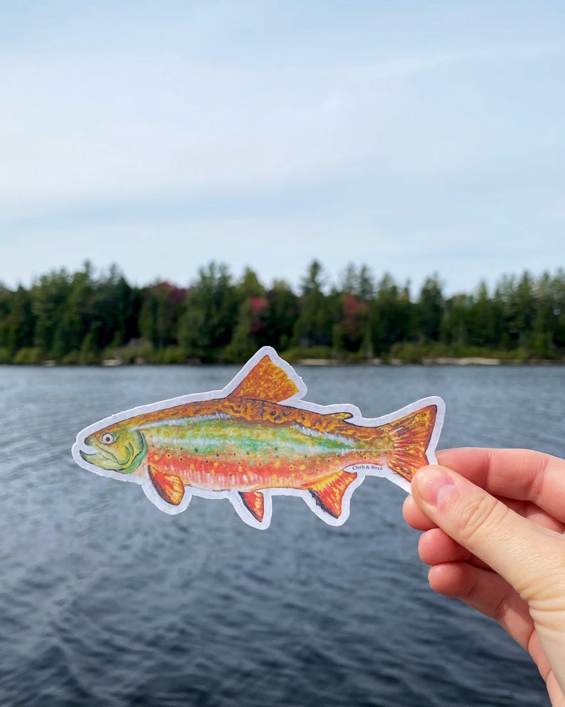 Brook Trout Fish Watercolor Vinyl Stickers - Etsy