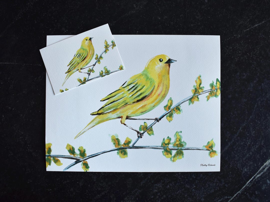 Yellow Warbler Wild Bird Watercolor Prints, 4x6 and 11x14 - Etsy