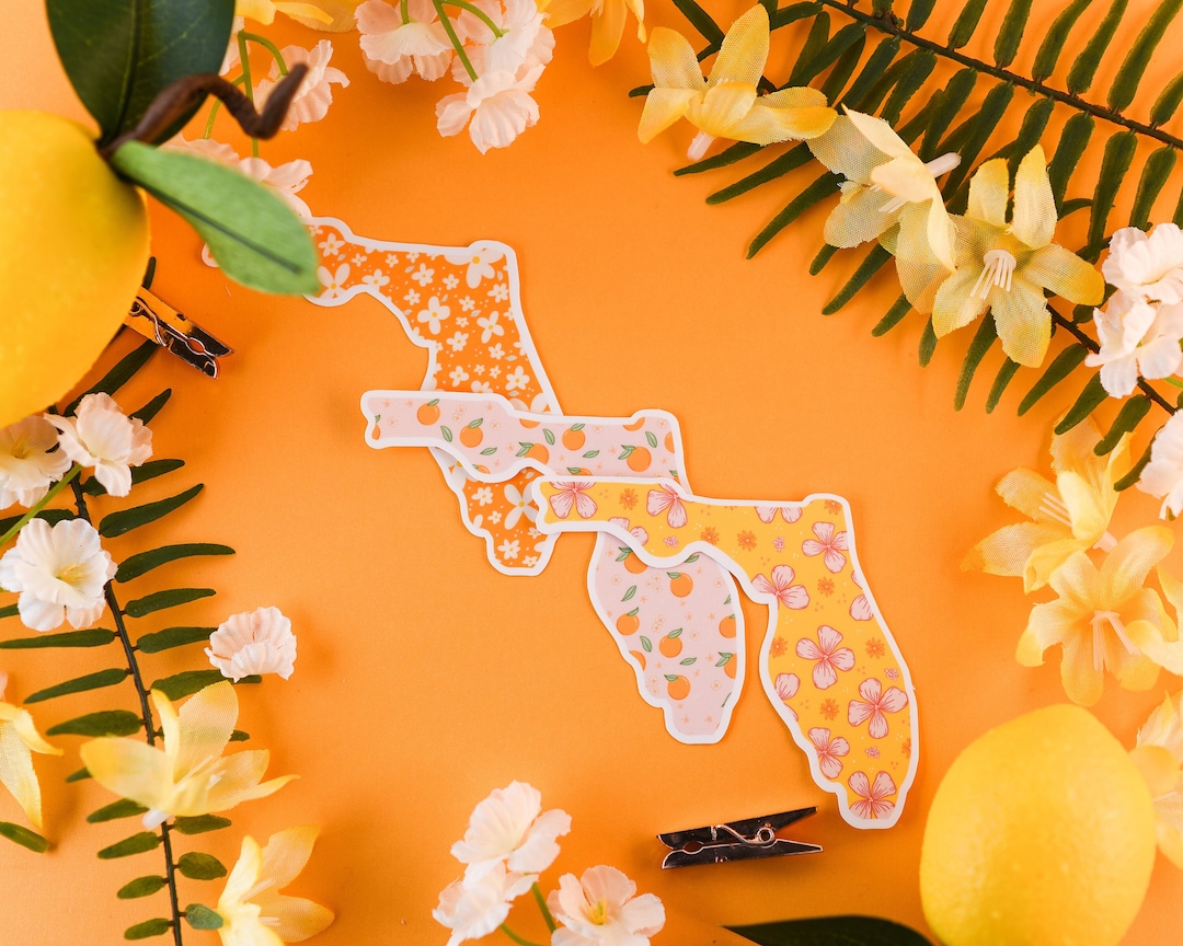 Florida State Stickers Trio, Florida Artwork, Florida Sticker - Etsy