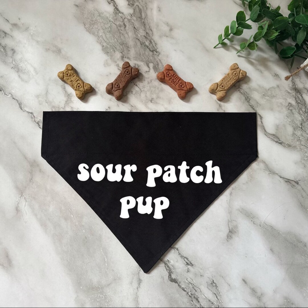 Sour Patch Dog-over the Collar Dog Bandana- Funny Dog Bandana- Cat ...