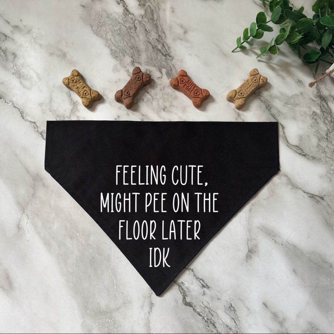 Feeling Cute Might Pee on the Floor Later Idk-over the Collar Dog ...