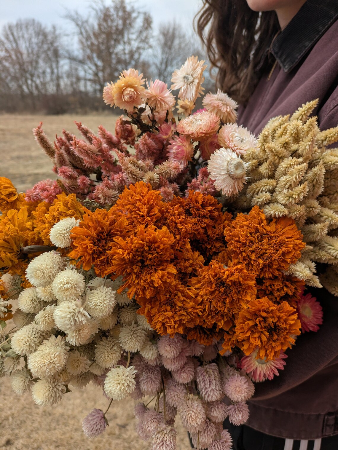 Pink Strawflower Dried Flower Bunch, All Natural, Midwest Family Flower ...