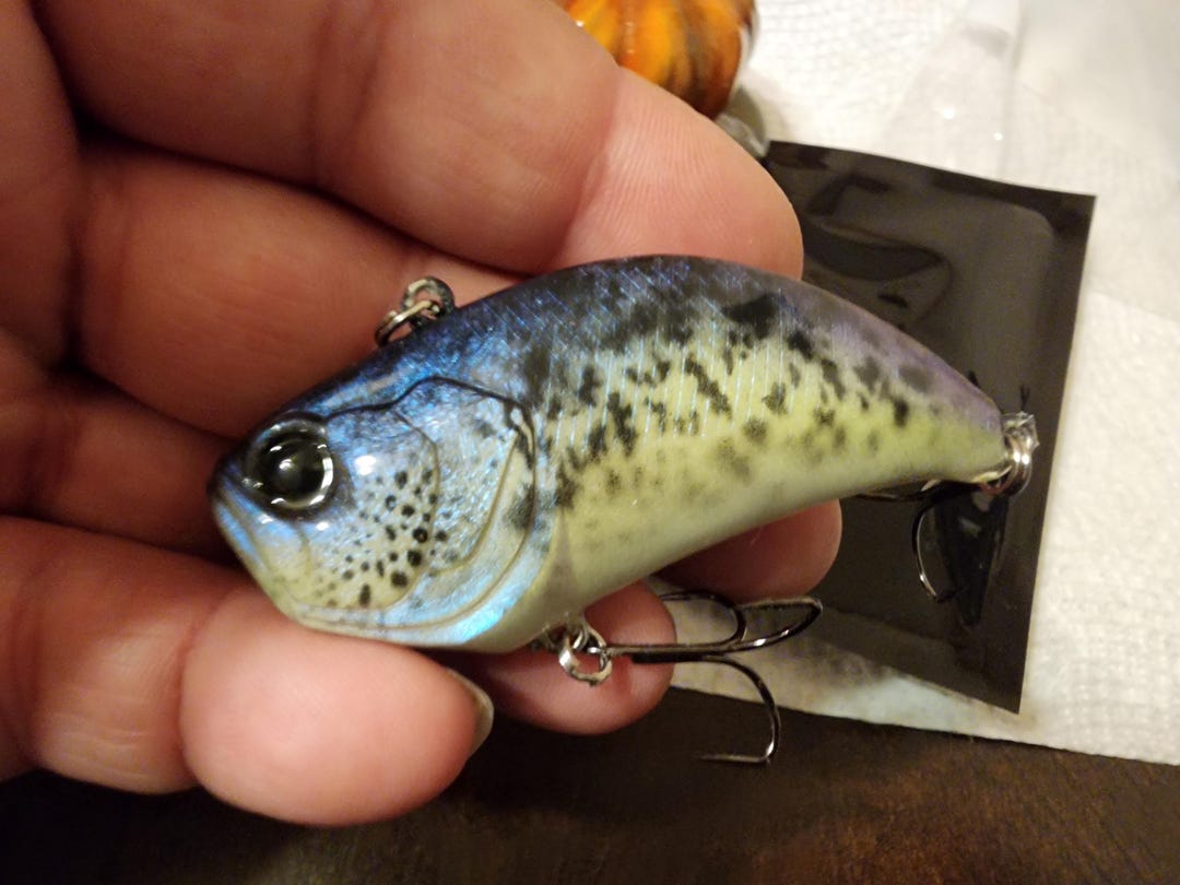 2.4" Custom Lipless Raid Crappie - Etsy